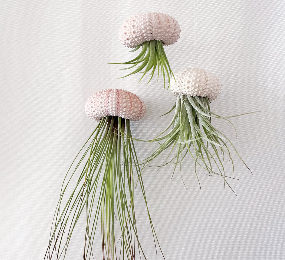 how to make a jellyfish hanging basket